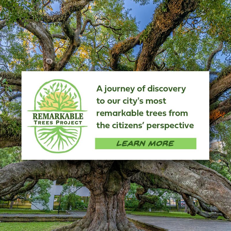 Join the Remarkable Tree Project - Jacksonville | Scenic Jacksonville